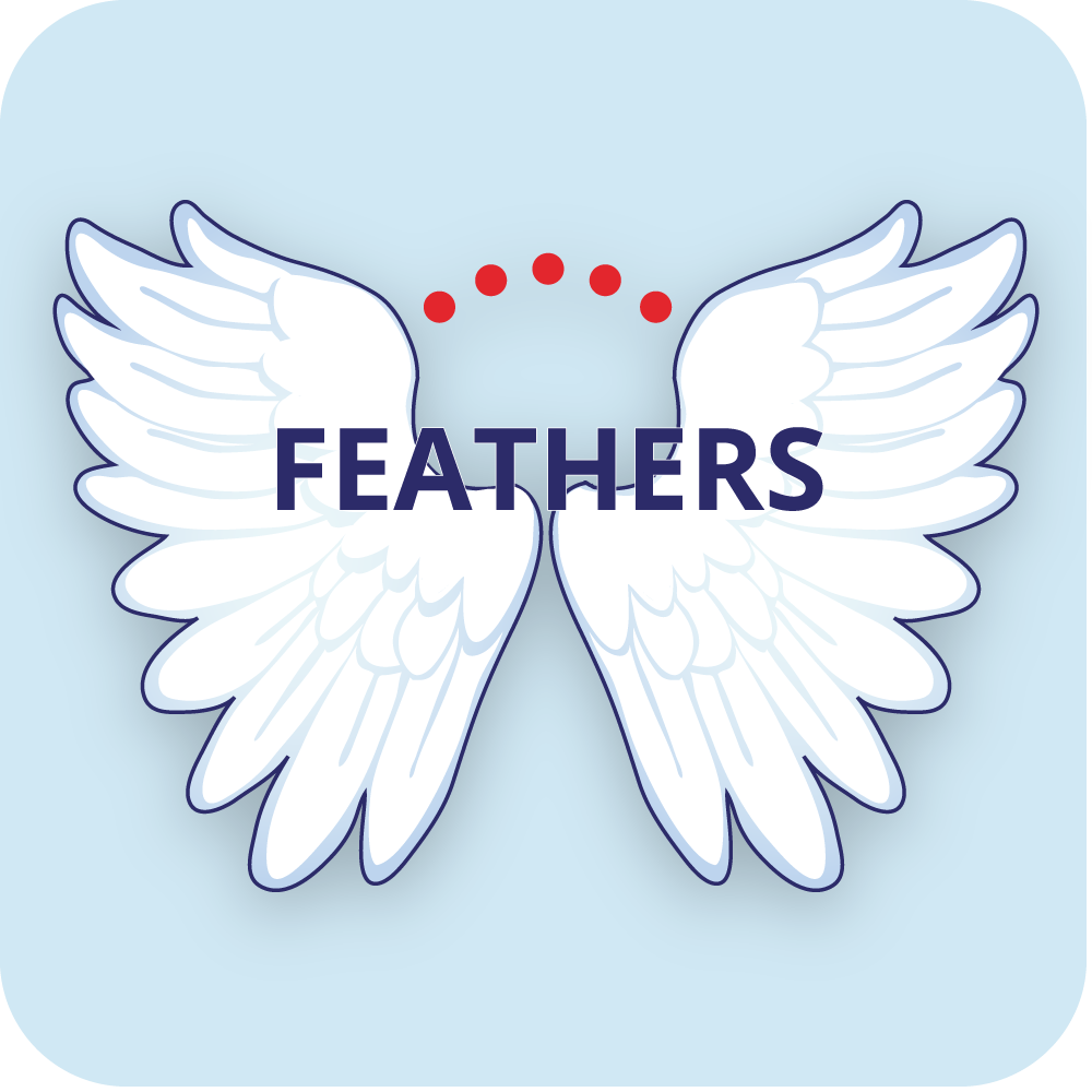 Feathers Project – 100% Direct Charity for the Philippines