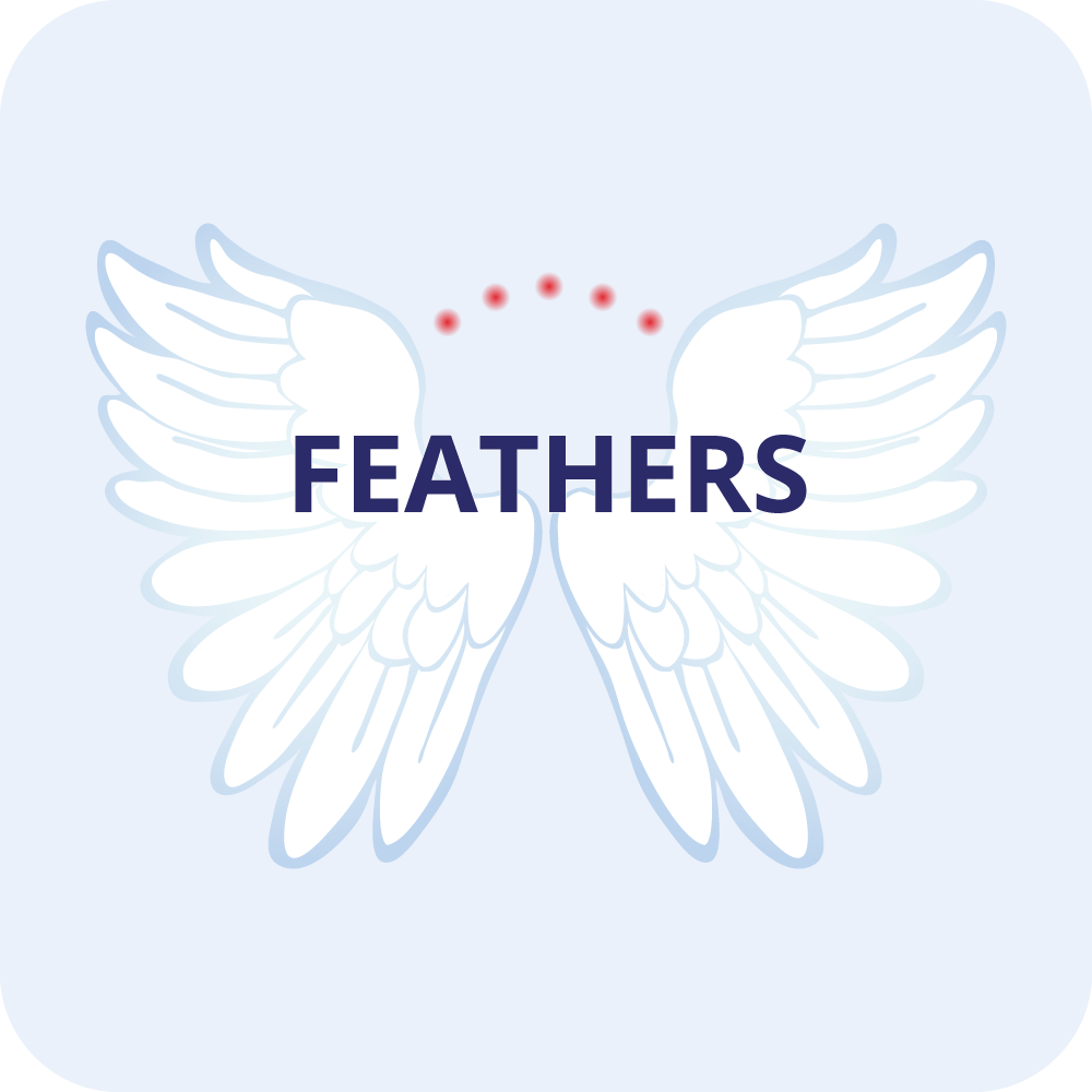 Feathers Project
